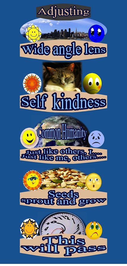 “A Wide Angle Lens”: strategies and 5 steps to learn to accept and ...