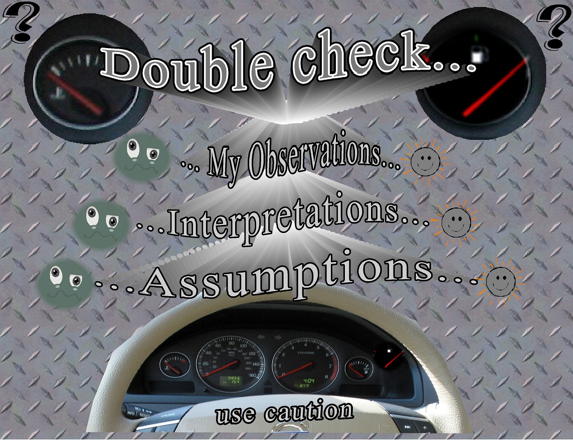 “Mis-gauging”…double checking my observations and interpretions ...