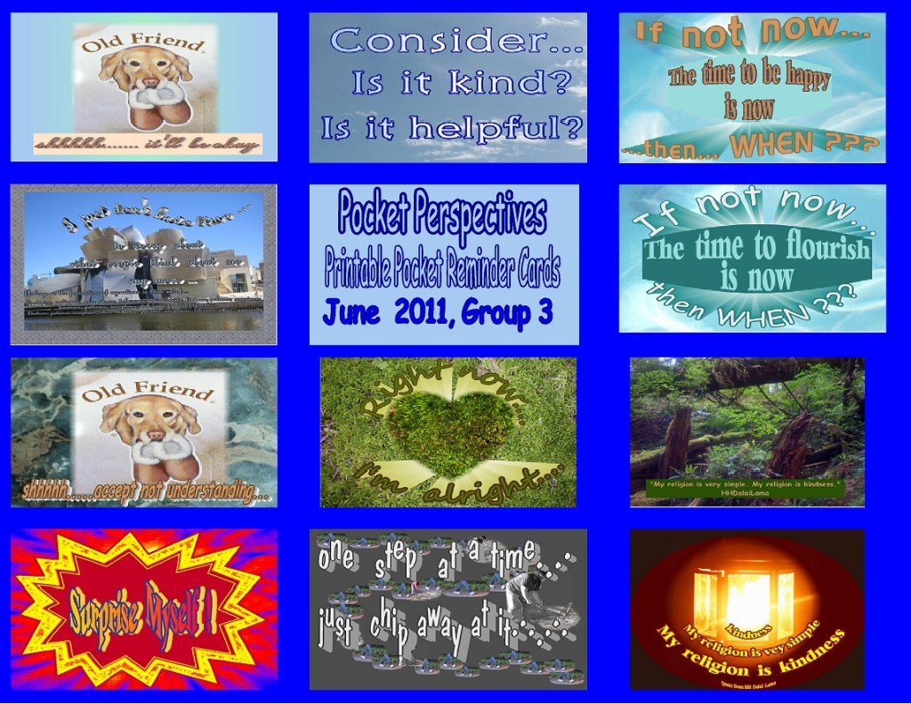 Pocket Reminder Cards: Set 3 | Pocket Perspectives