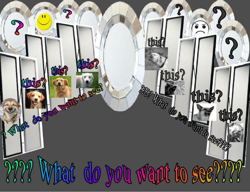 The House of 1000 Mirrors … reflections of “self” | Pocket Perspectives