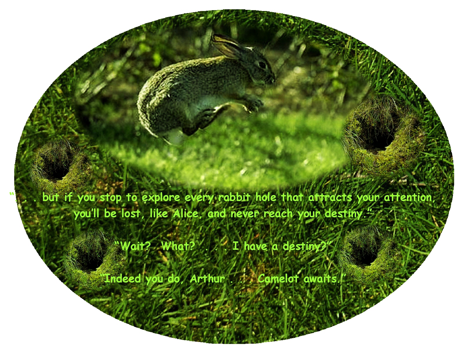 Too many rabbit holes… | Pocket Perspectives