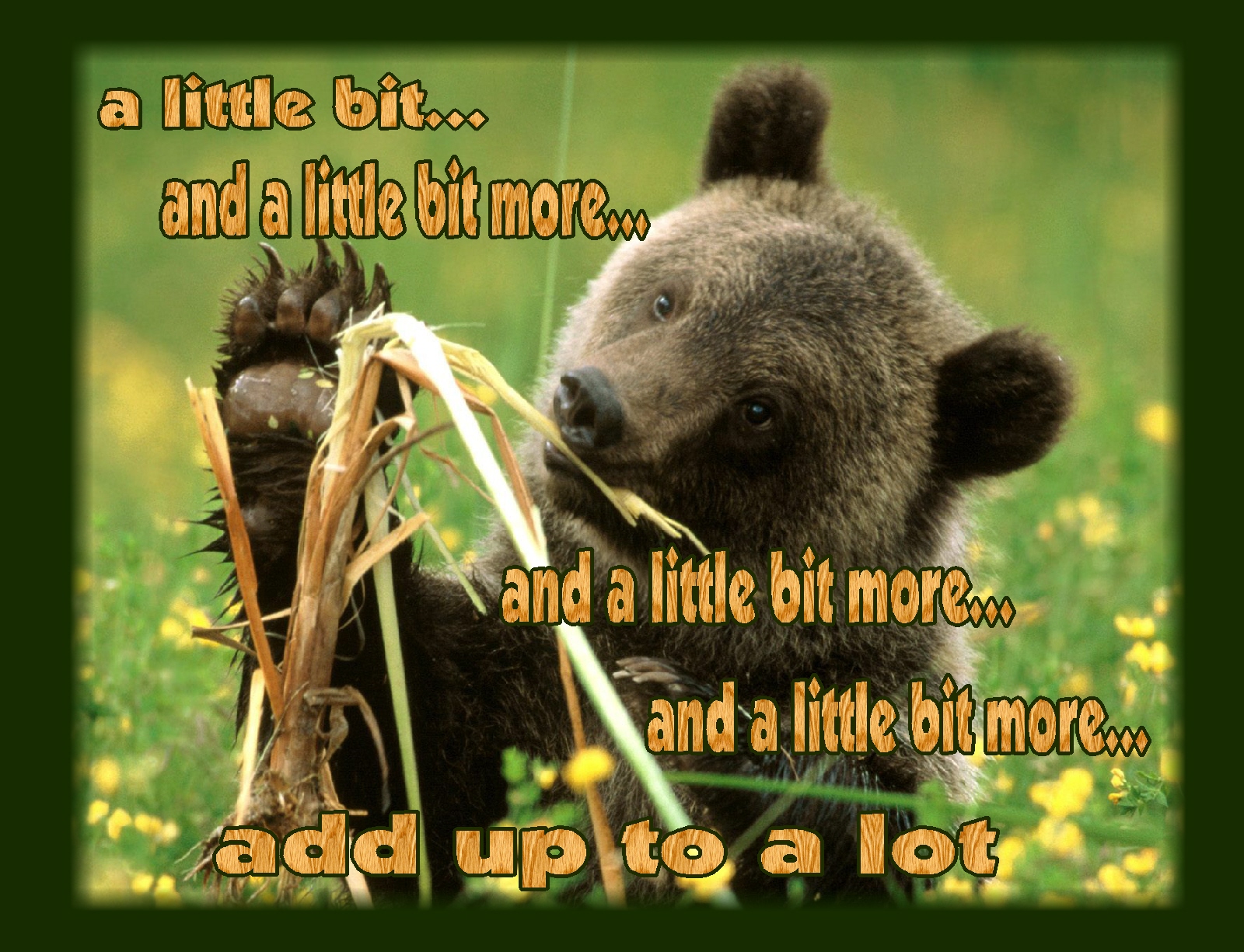 “Do a little bit at a time… patience and persistence from a “bearable ...