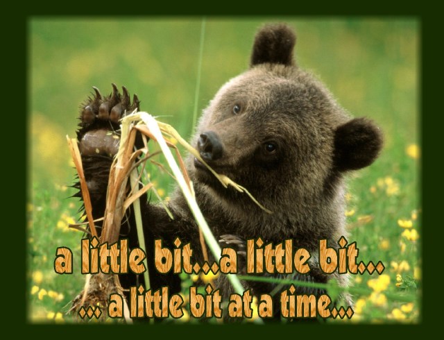 “Do a little bit at a time… patience and persistence from a “bearable ...