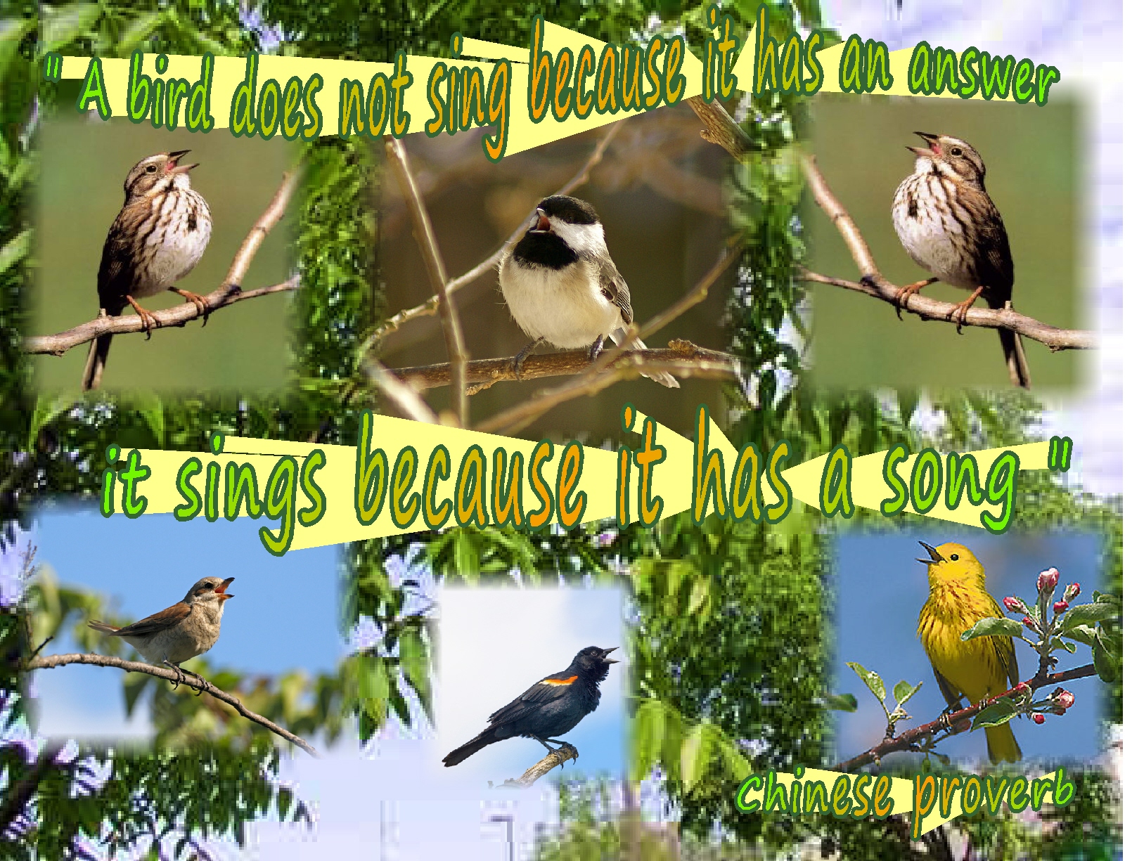 “A bird does not sing because it has an answer…it sings because it has ...