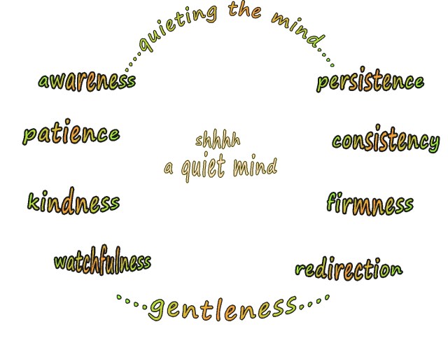 “Mindfulness”….watching the activities of a busy mind | Pocket Perspectives