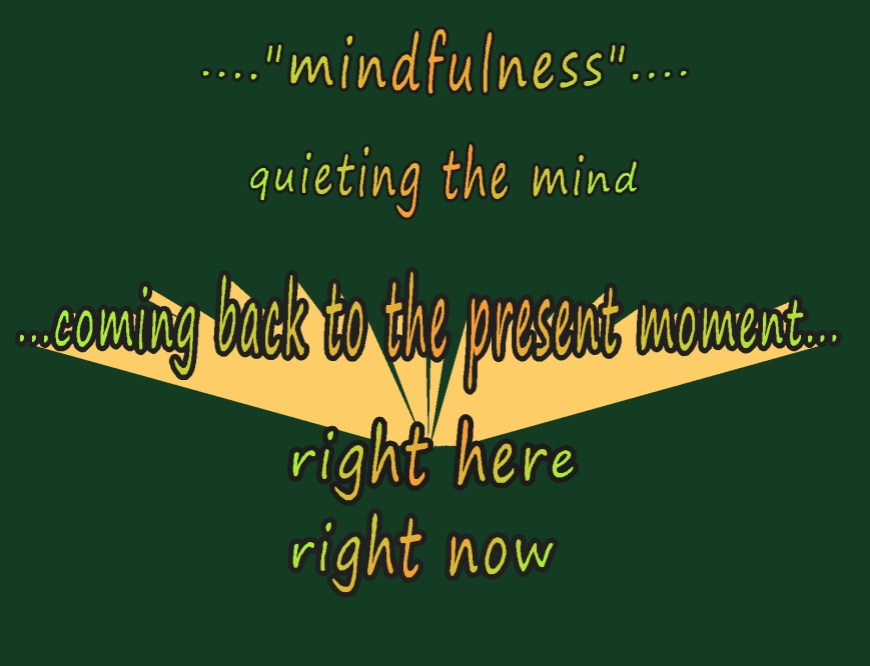 “Mindfulness”….watching the activities of a busy mind | Pocket Perspectives