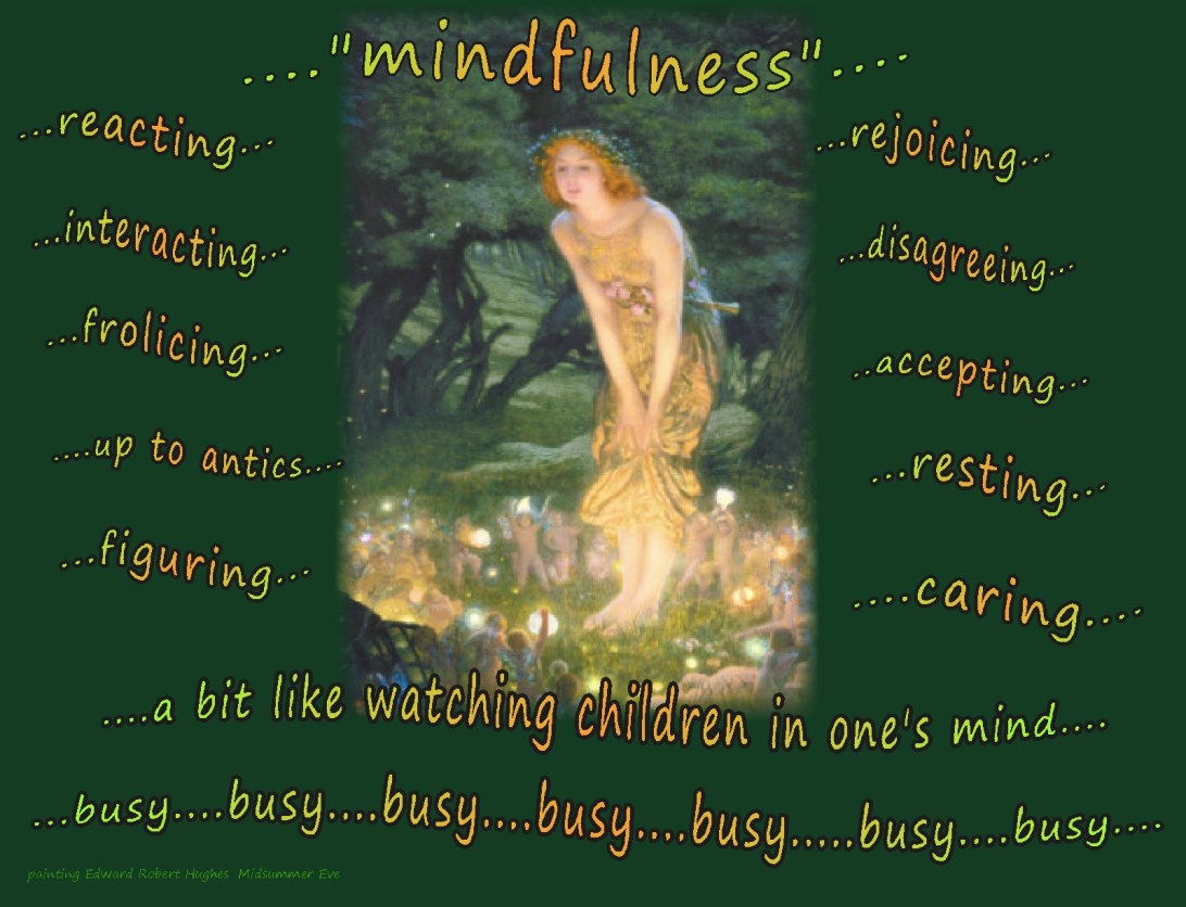 “Mindfulness”….watching the activities of a busy mind | Pocket Perspectives