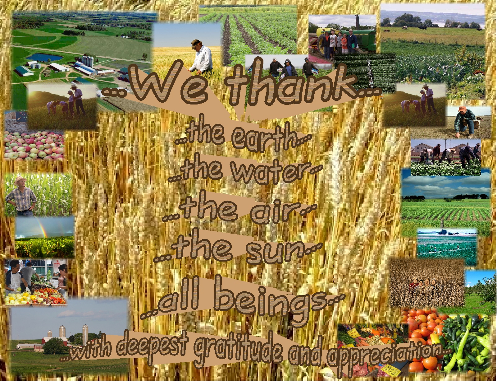 “We thank the farmers…” … awareness, appreciation, interdependence ...