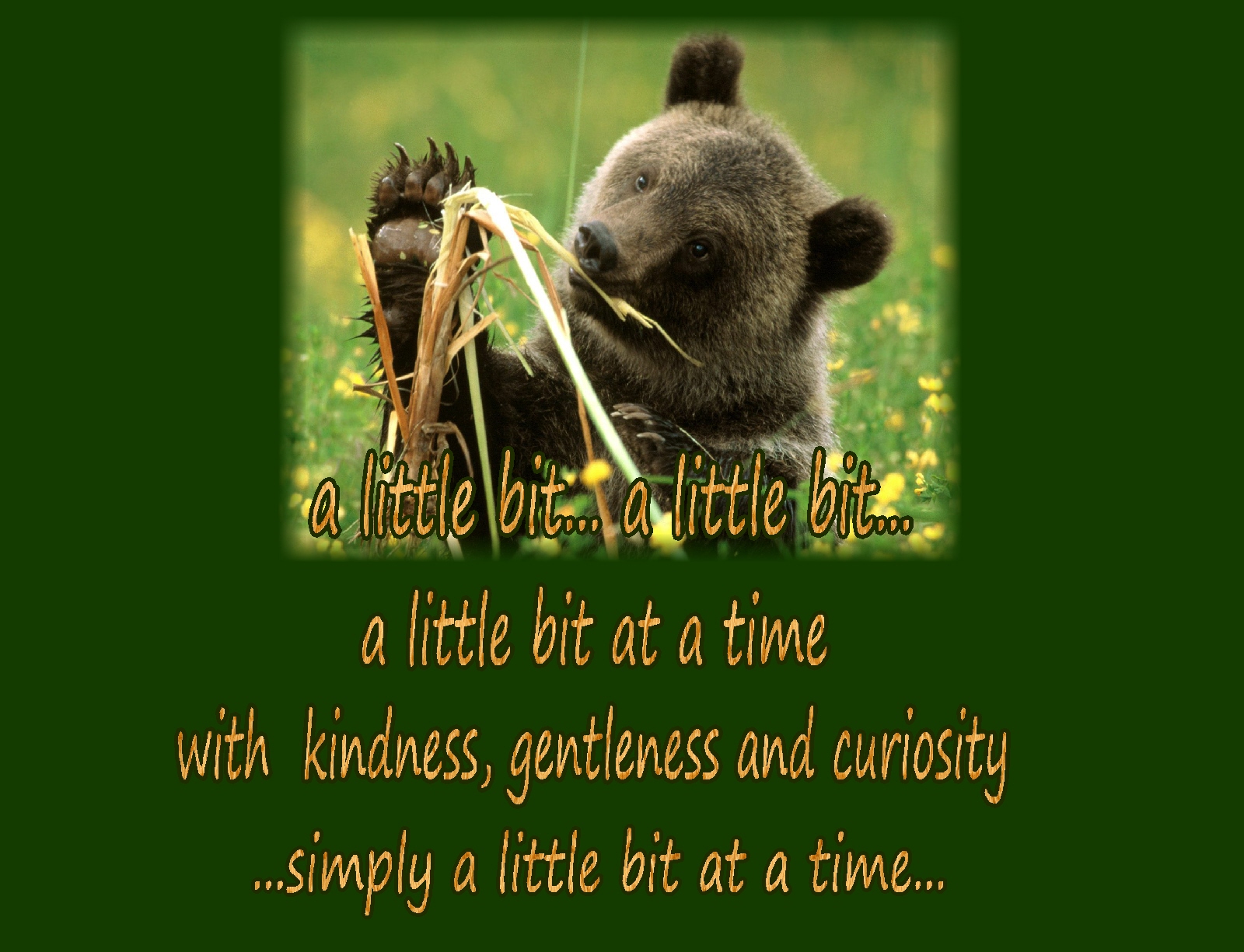 a little bit…a little bit…simply a little bit at a time… | Pocket ...