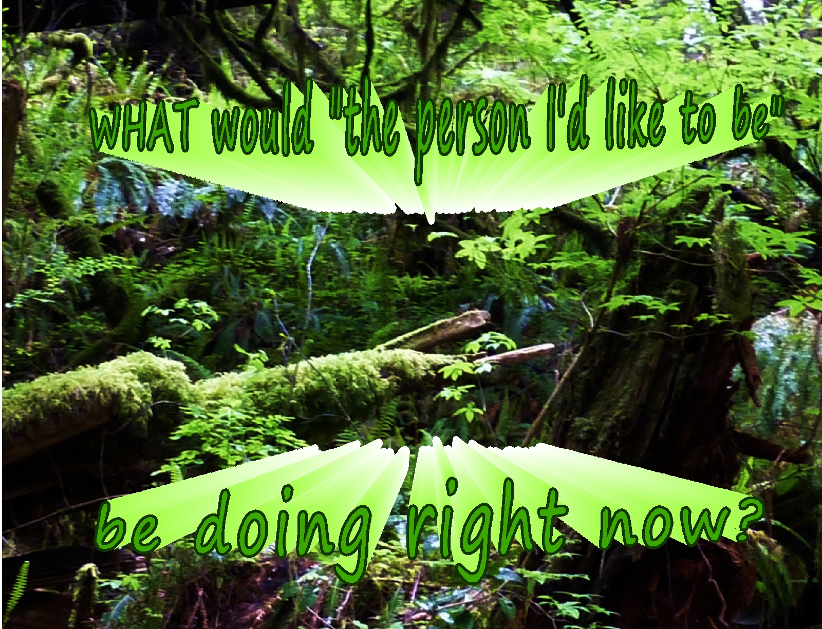 Nurturing one’s Nature… know, respect, live, share…. | Pocket Perspectives