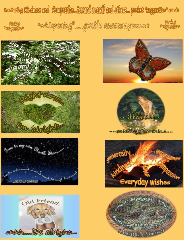 Pocket Reminder Cards: Set 6 | Pocket Perspectives