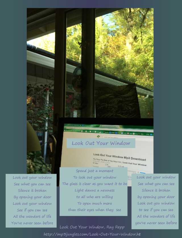 “Look out your window” | Pocket Perspectives