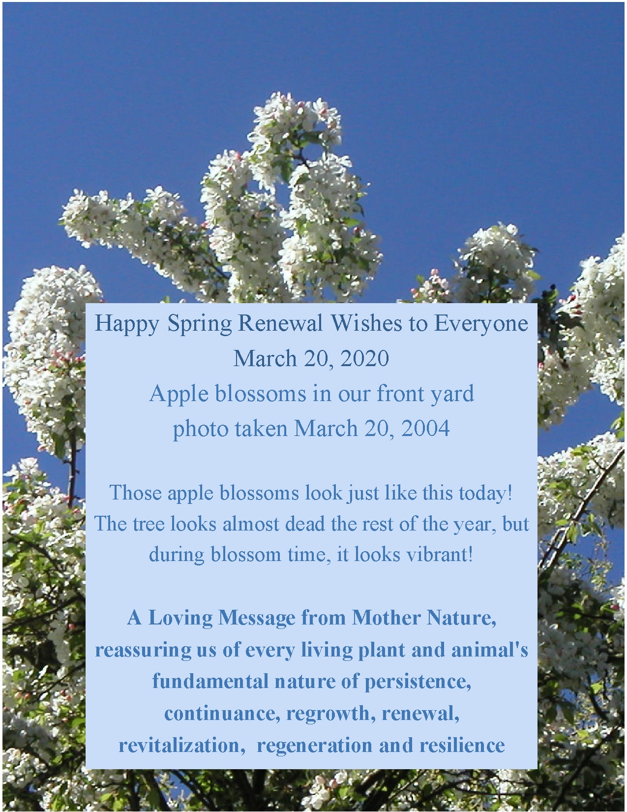 Spring renewal wishes…for increasing senses of resilience ...